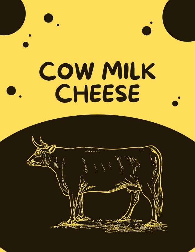 Cow Milk Cheese | The Cheese Lady Traverse City